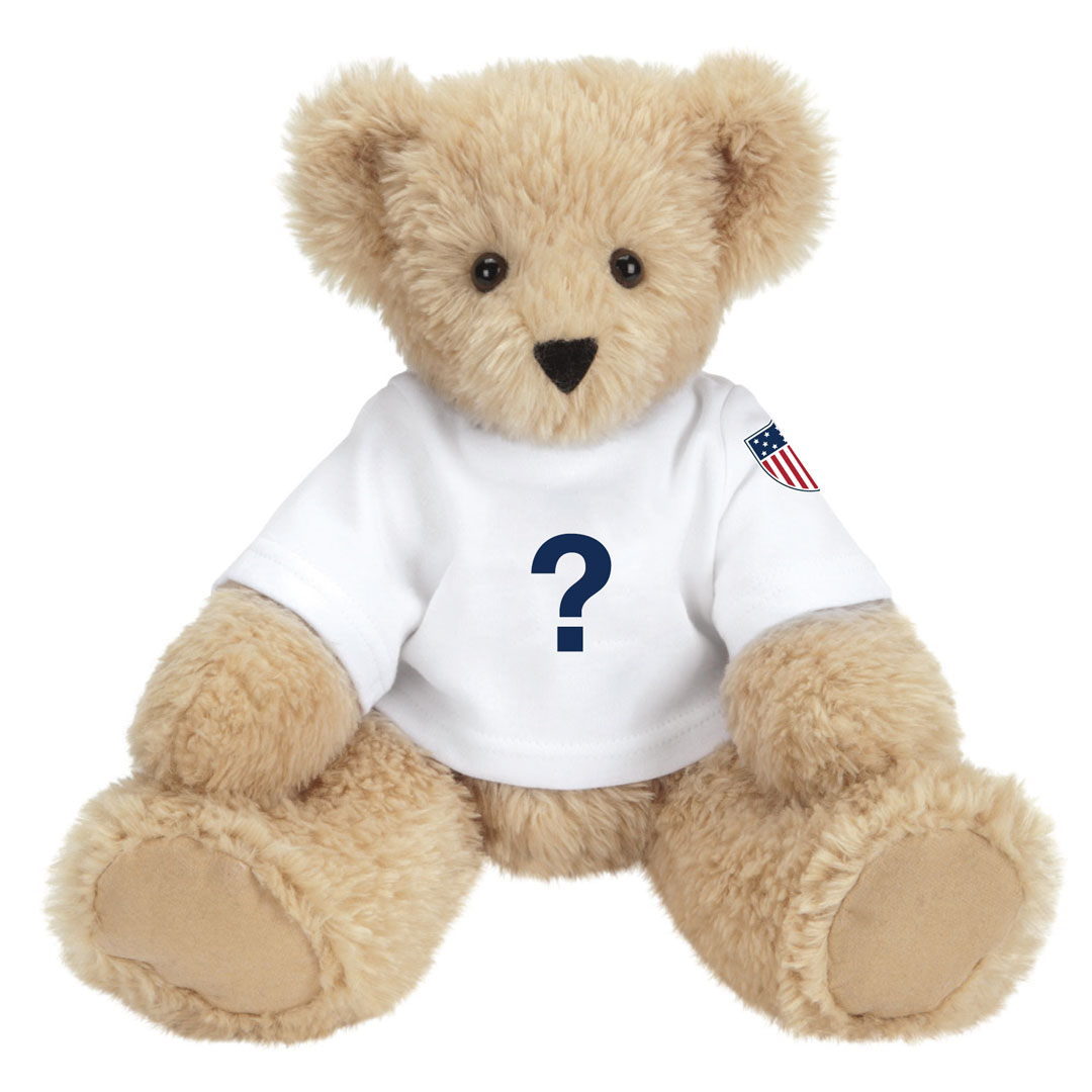 Team USA Teddy Bear